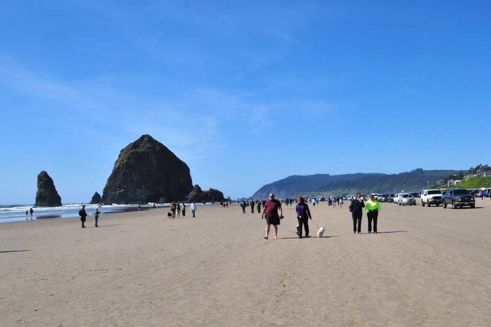 The Best Lincoln City RV Parks - Campendium